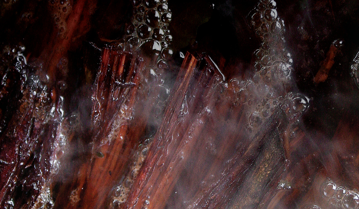 Informe técnico sobre ayahuasca 2021 y fichas técnicas | ICEERS