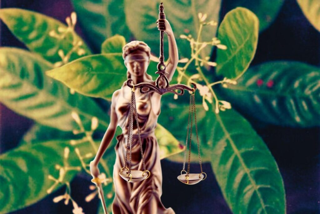 Legal Battle for Claude Bauchet and Ayahuasca in France | ICEERS